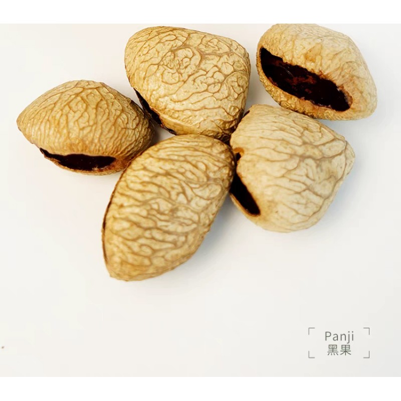 Panji, Pala, Juju, Chacha Seed Shells for DIY Meditation Chimes Hand ...